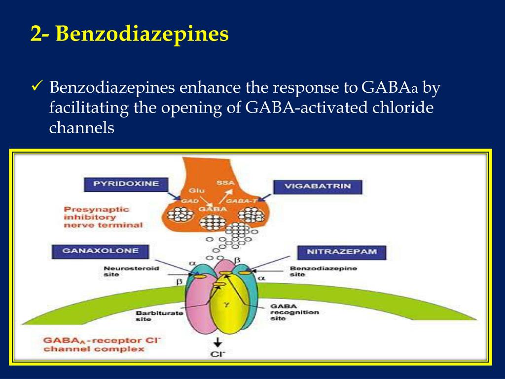 PPT - CNS Depressant Drugs PowerPoint Presentation, free download - ID ...