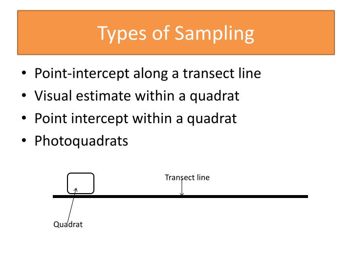 PPT - Ecology Sampling Methods PowerPoint Presentation - ID:2163465