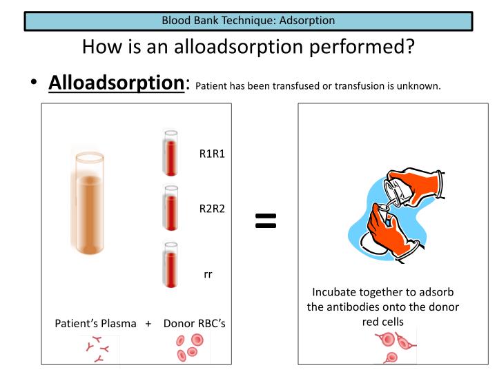PPT - Blood Bank Case Studies PowerPoint Presentation - ID:2163625