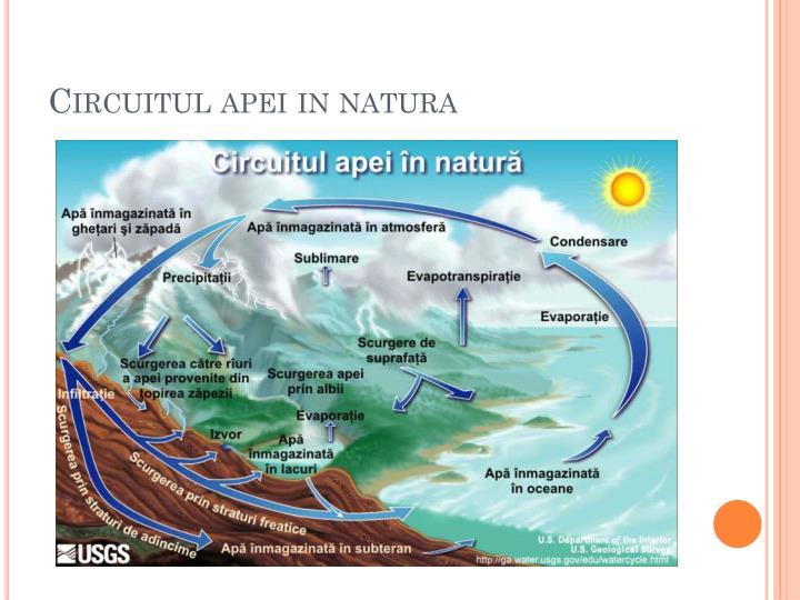 PPT - Circuitul apei in natura PowerPoint Presentation - ID:2163721