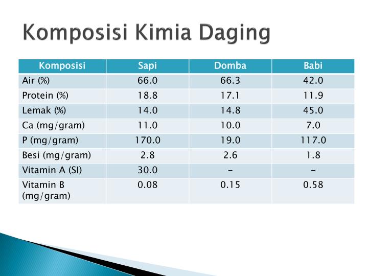 PPT - SUSUNAN DAGING PowerPoint Presentation - ID:2163773
