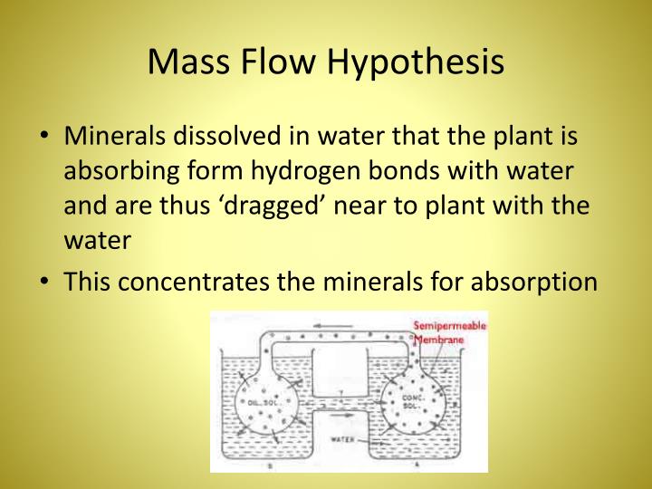 PPT - Plant Science PowerPoint Presentation - ID:2163832