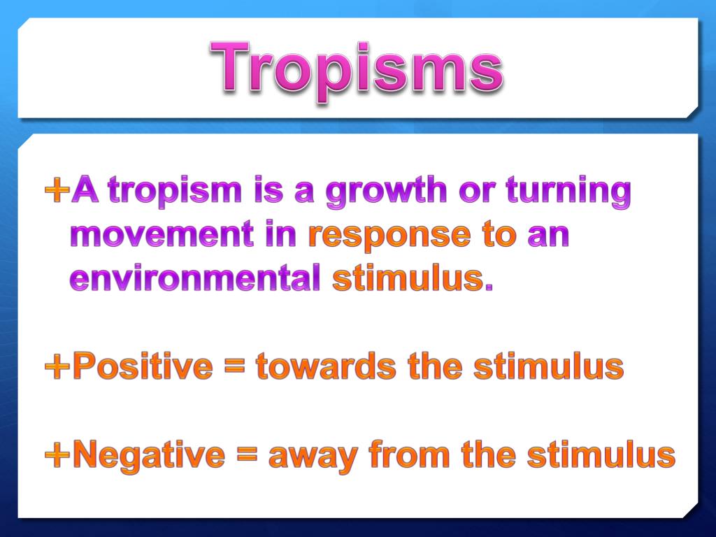 PPT - Homeostasis, Transpiration, Tropisms, & Turgor Pressure ...