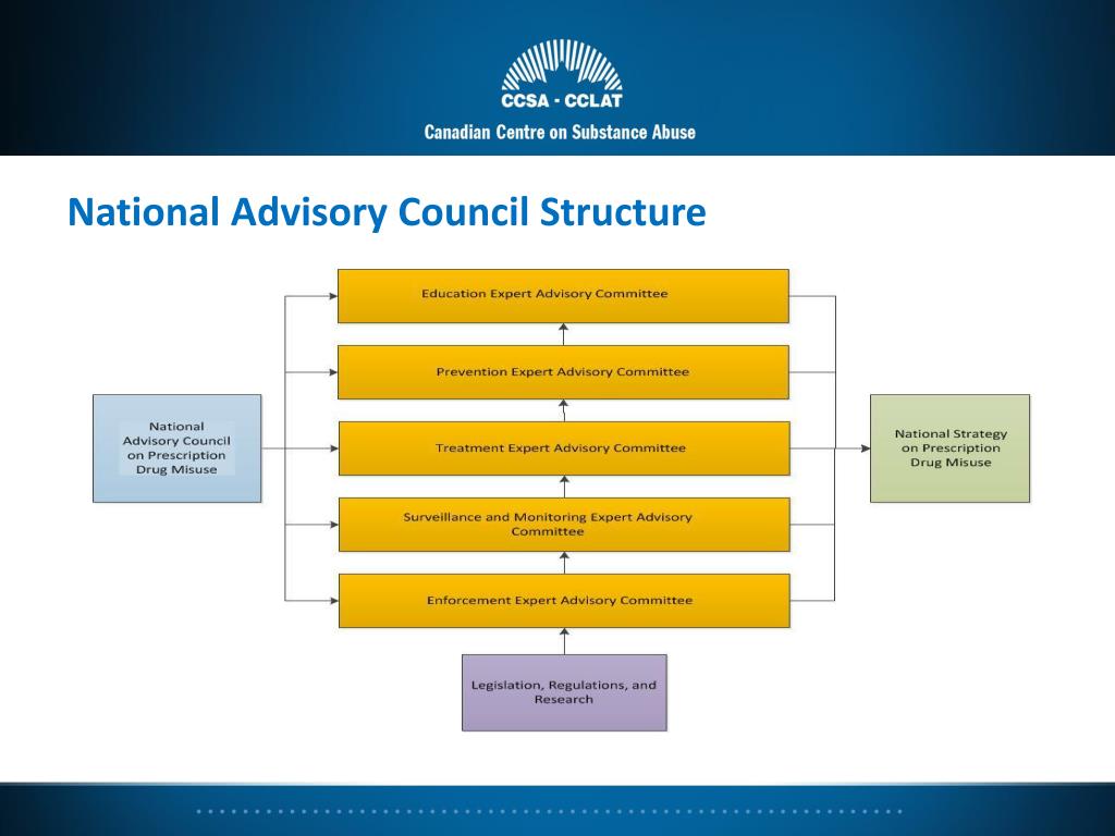 PPT - National Strategy on Prescription Drug Misuse in Canada ...