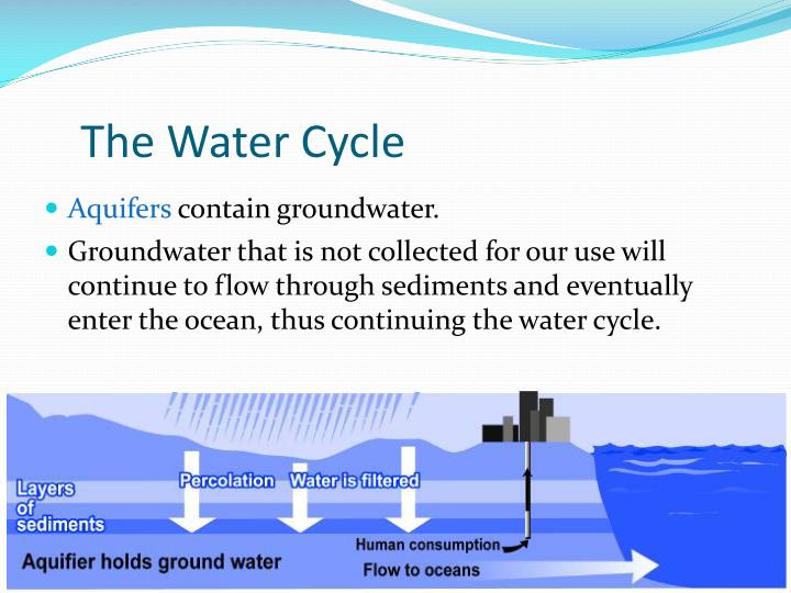 PPT - The Water Cycle and You PowerPoint Presentation - ID:2164096