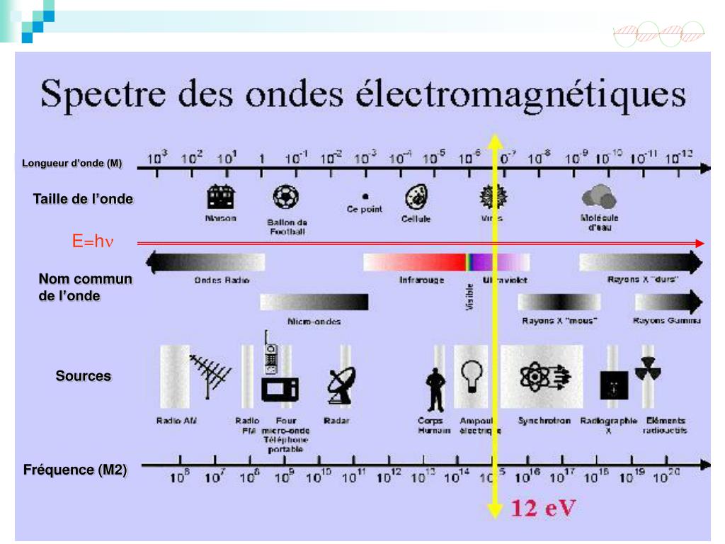 PPT - Éléments de Biophysique des Radiations Ionisantes PowerPoint ...
