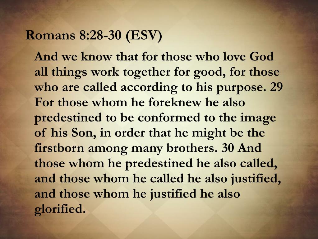 PPT - What Exactly is God's Will for Me ? Romans 8:28-30 PowerPoint ...