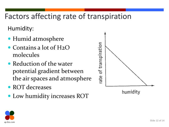PPT - Xerophytes & Transpiration Factors PowerPoint Presentation - ID ...