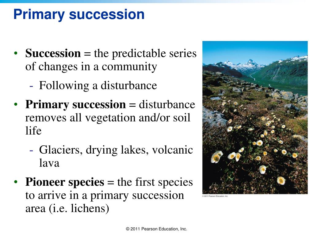 Ppt Lecture Outlines Chapter 6 Environment The Science Behind The Stories 4th Edition