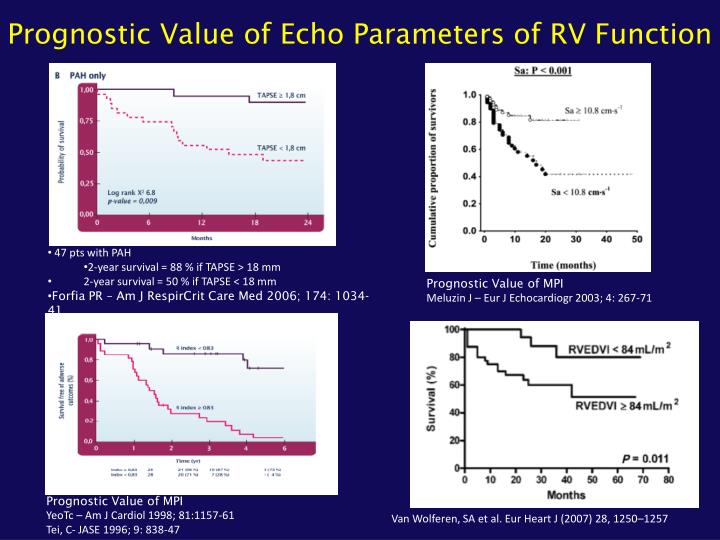 PPT - Role of the Echocardiogram in the Assessment of Pulmonary ...
