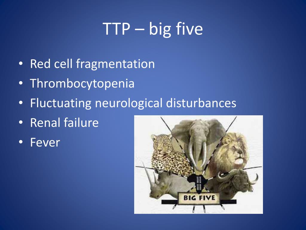 PPT - HIV and haematology PowerPoint Presentation, free download - ID ...