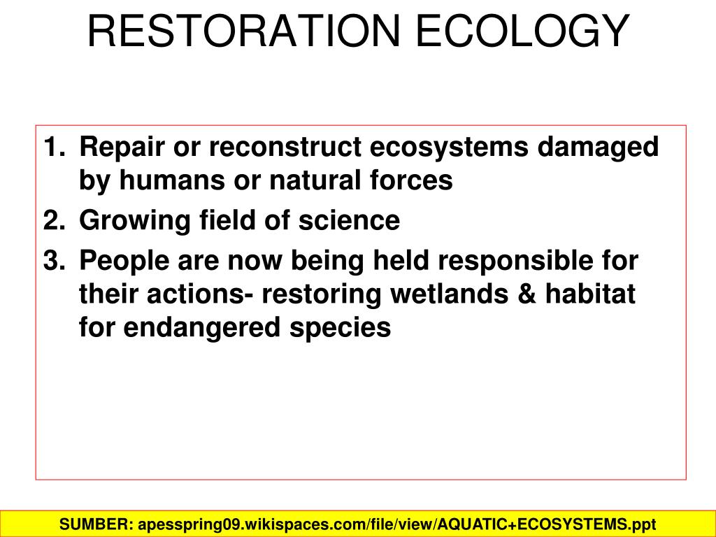 PPT - AQUATIC ECOSYSTEMS LANDSCAPE ECOLOGY RESTORATION ECOLOGY ...