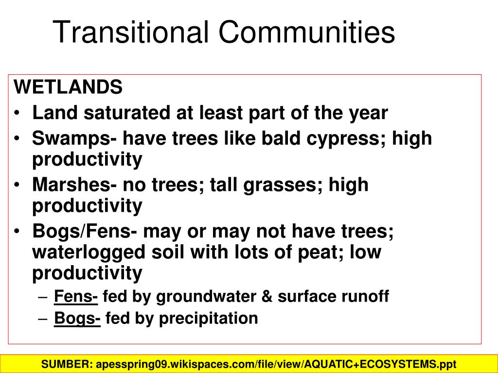 PPT - AQUATIC ECOSYSTEMS LANDSCAPE ECOLOGY RESTORATION ECOLOGY ...