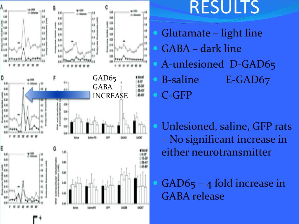 PPT - Subthalamic GAD Gene Therapy in a Parkinson’s Disease Rat Model ...