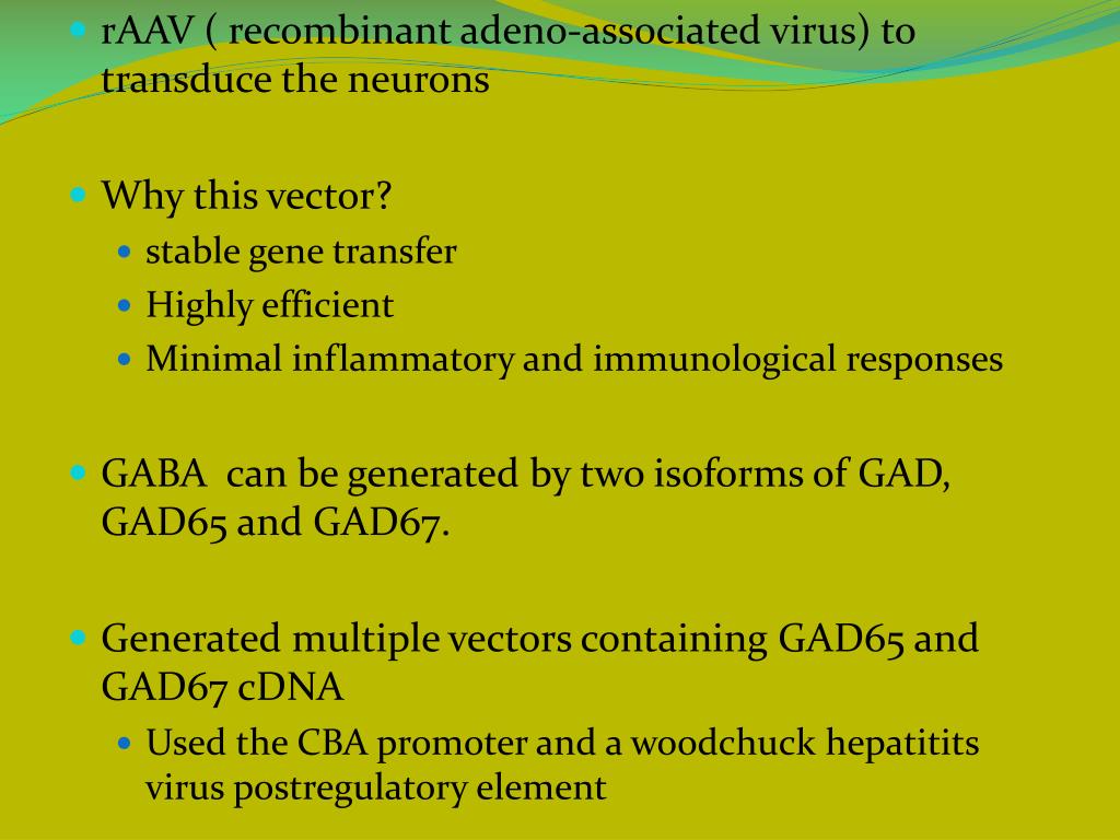 PPT - Subthalamic GAD Gene Therapy in a Parkinson’s Disease Rat Model ...