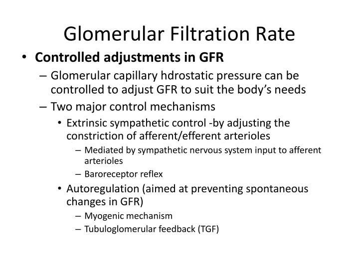 PPT - GLOMERULAR FILTERATION PowerPoint Presentation - ID:2165375