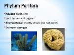 PPT - Classification & The Animal Kingdom PowerPoint Presentation - ID ...