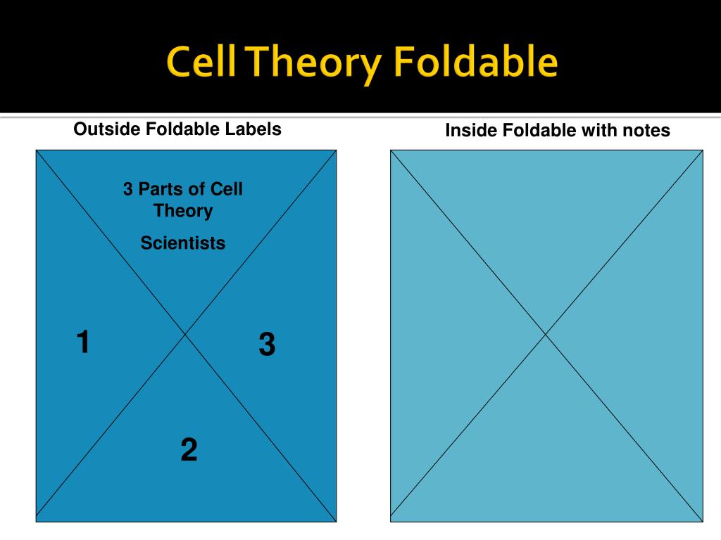 PPT - What is a cell? Compare and contrast plant and animal cells ...