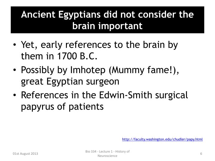 PPT - Neurobiology I – Bio 334 PowerPoint Presentation - ID:2167224