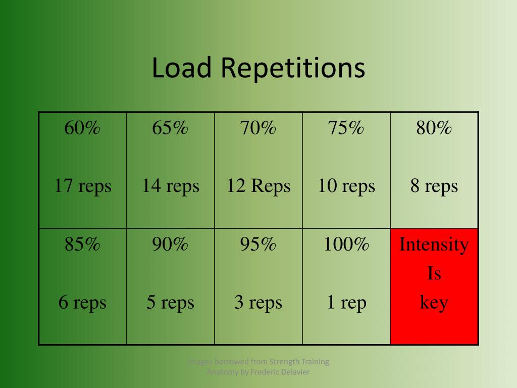 PPT - Personal Fitness II The Muscle Groups PowerPoint Presentation ...