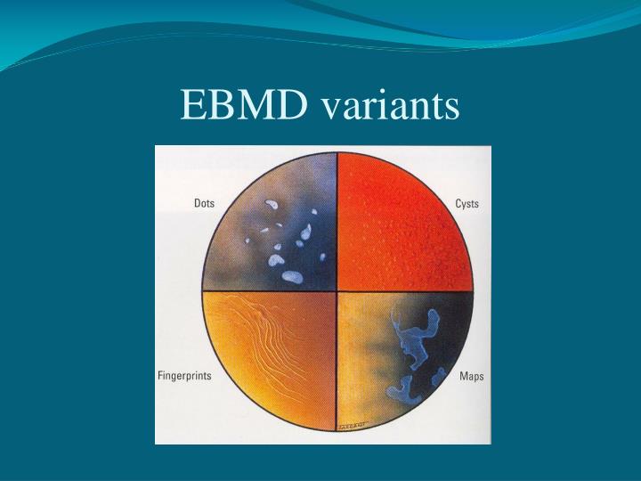 PPT - The Cloudy Cornea PowerPoint Presentation - ID:2167374