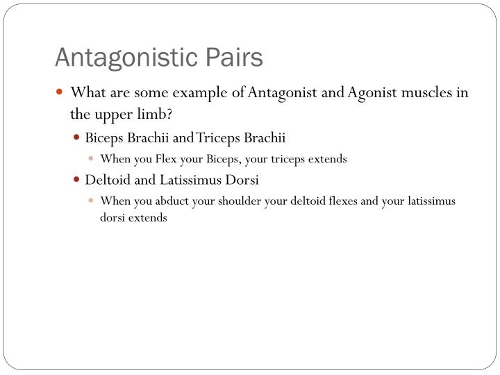 PPT - Muscles of the Upper Limb PowerPoint Presentation - ID:2167557