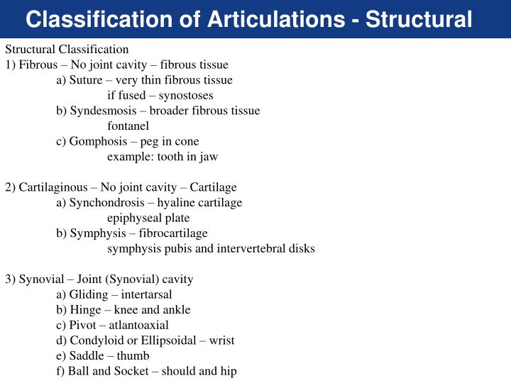 PPT - Articulations PowerPoint Presentation - ID:2167770