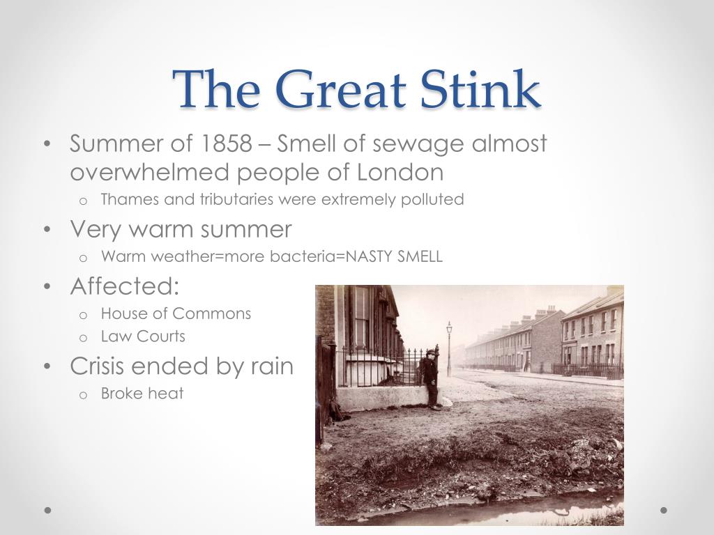 PPT - Victorian London, the Thames, & the Great Stink PowerPoint ...