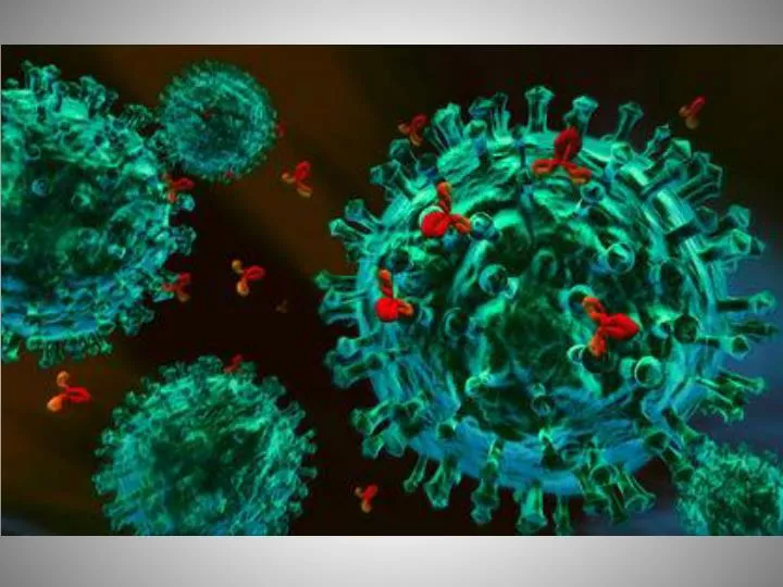 PPT - A Tale of Two Flus PowerPoint Presentation, free download - ID ...