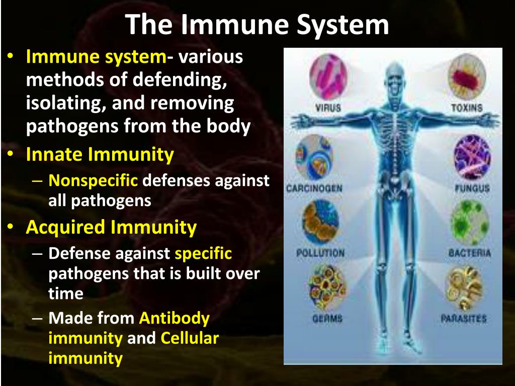 PPT - Infectious Disease and the Immune System Ch. 39 PowerPoint ...
