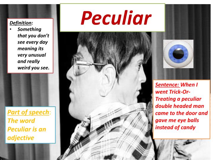 PPT - Lesson 1 Vocabulary List PowerPoint Presentation - ID:2168237