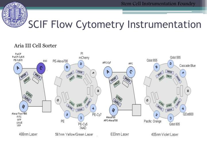 PPT - SCIF Orientation Flow Cytometry PowerPoint Presentation - ID:2168354