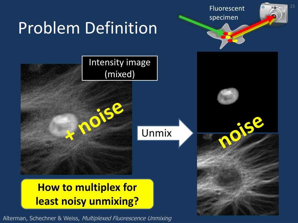 PPT - Multiplexed Fluorescence Unmixing PowerPoint Presentation, free ... PPT - Multiplexed Fluorescence Unmixing PowerPoint Presentation, free ...