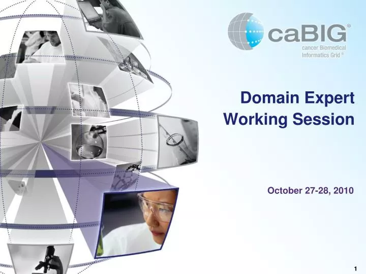 PPT - Domain Expert Working Session PowerPoint Presentation, free ...