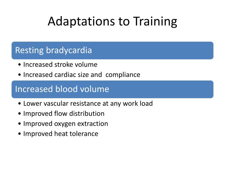 PPT - Cardiovascular response to exercise PowerPoint Presentation - ID ...