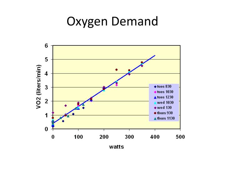 PPT - Cardiovascular response to exercise PowerPoint Presentation - ID ...