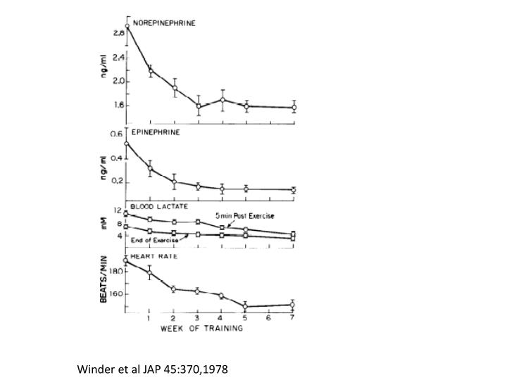 PPT - Cardiovascular response to exercise PowerPoint Presentation - ID ...