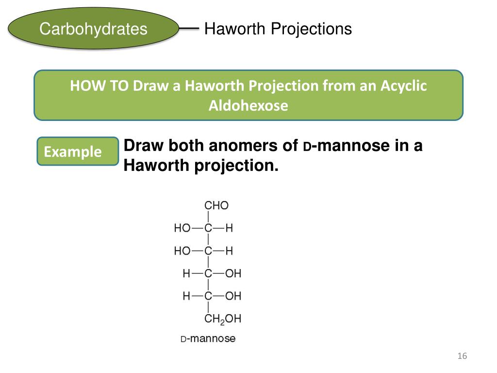 PPT - CHAPTER 20: Carbohydrates General, Organic, & Biological ...