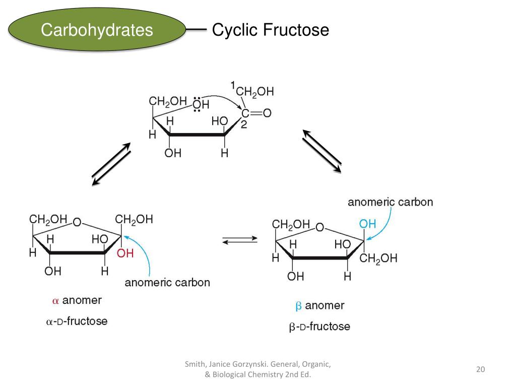 PPT - CHAPTER 20: Carbohydrates General, Organic, & Biological ...