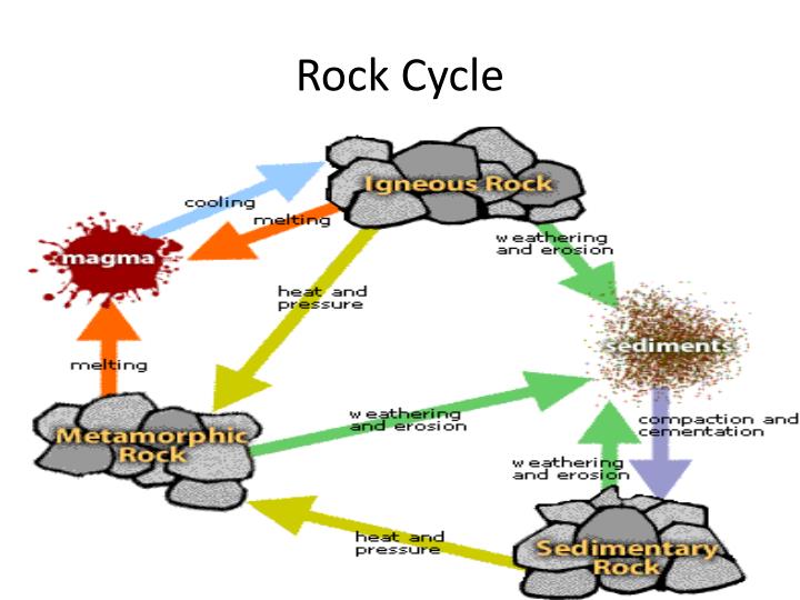 PPT - Abiotic Cycles PowerPoint Presentation - ID:2170024