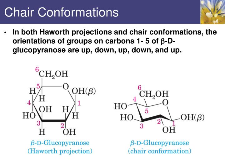 D Ribose Chair