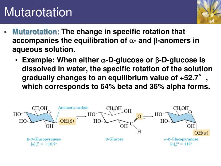 PPT - Carbohydrates PowerPoint Presentation - ID:2170103