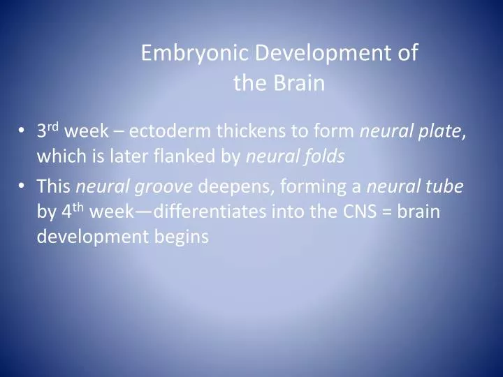 PPT - Embryonic Development of the Brain PowerPoint Presentation, free ...