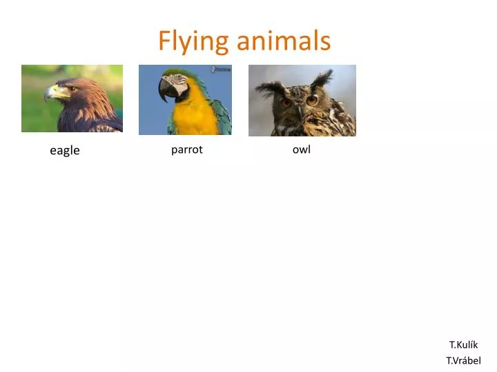 Air Animals With Names
