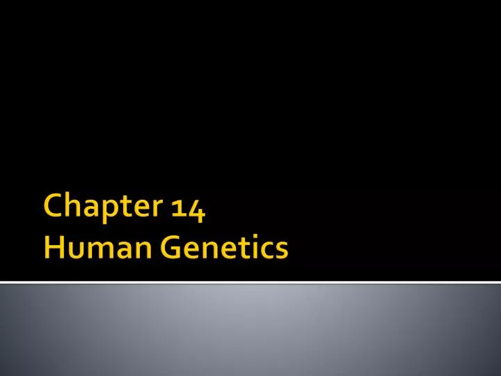 PPT - Chapter 14 Human Genetics PowerPoint Presentation, free download ...