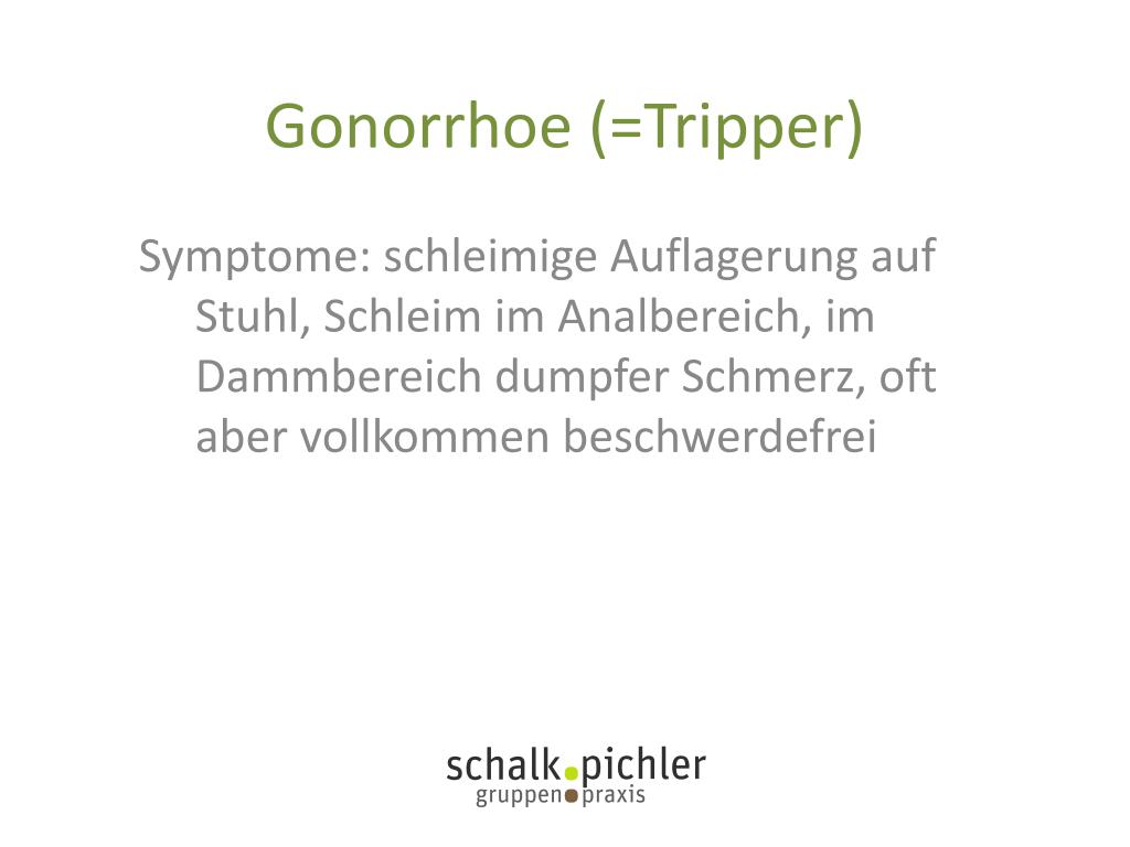 PPT - Anale Geschlechtskrankheiten beim schwulen Mann PowerPoint ...