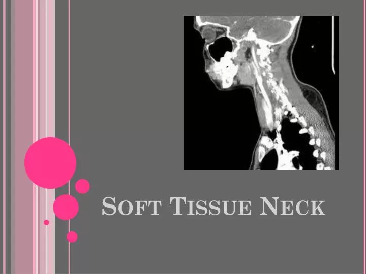 PPT - Soft Tissue Neck PowerPoint Presentation, free download - ID:2170893