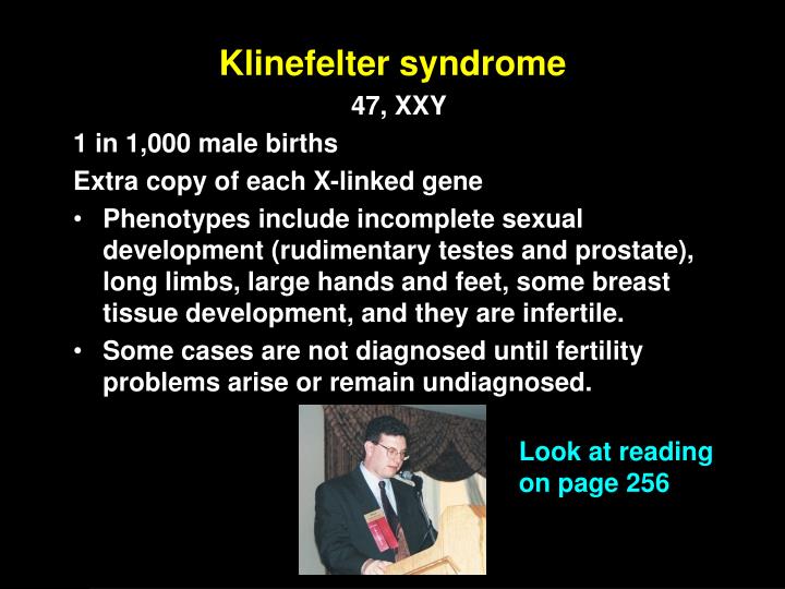 PPT - Eukaryotic Chromosome Organization — Lecture II PowerPoint ...
