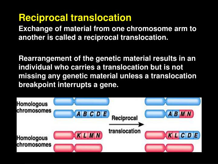 PPT - Eukaryotic Chromosome Organization — Lecture II PowerPoint ...