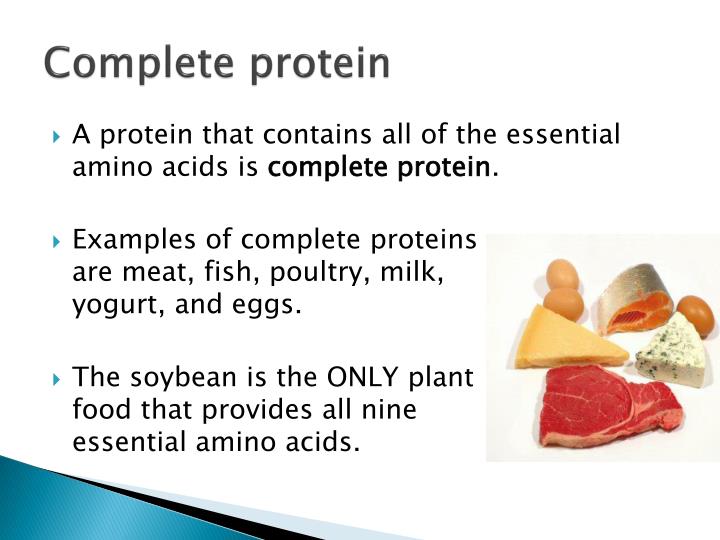 PPT - Macronutrients PowerPoint Presentation - ID:2170949